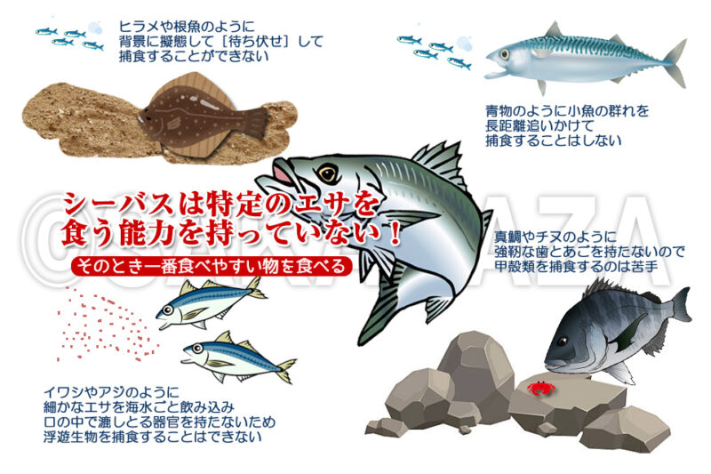シーバスのドリフトのやり方図解！適した場所や状況～3つの方法と適したルアーなど徹底解説 – sakanaza