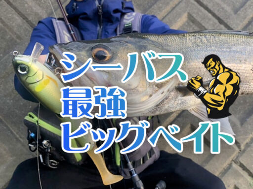 シーバスの最強ビッグベイト！狙うはランカーのみ実績のある厳選セレクト13選 – sakanaza