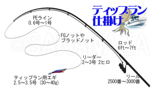 ティップランとは？船のイカ釣りの仕掛けと釣り方解説 – sakanaza
