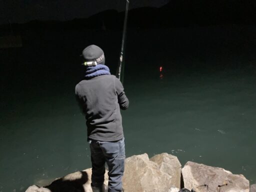 ショアラバのナイトゲーム！夜がヒットステージになる時間帯と釣り方など攻略方法 – sakanaza